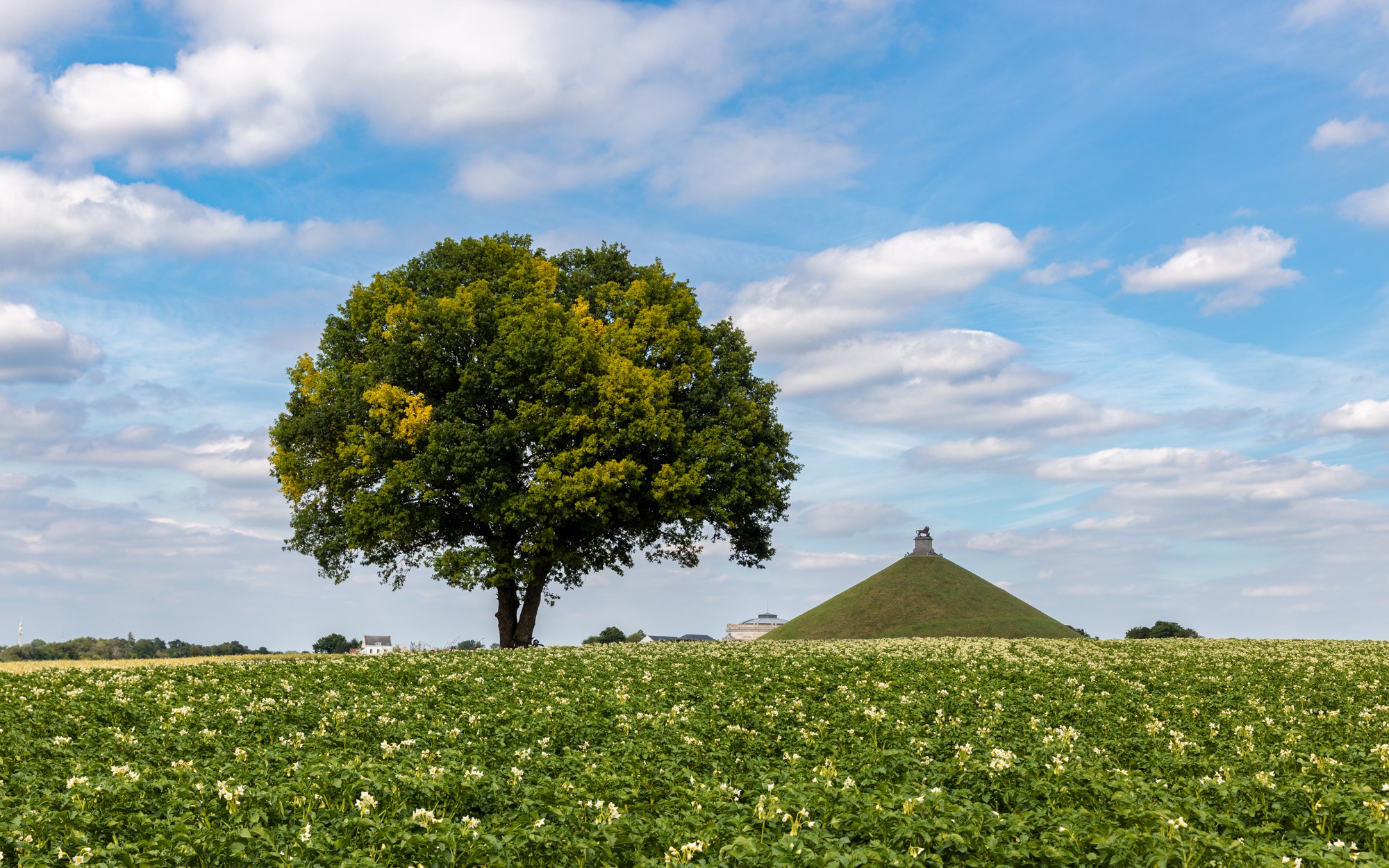 Home - Waterloo Tourisme